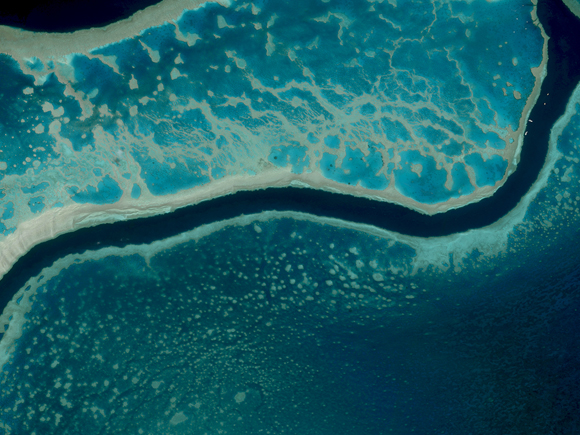 HSBC Pollination: Nature is capital