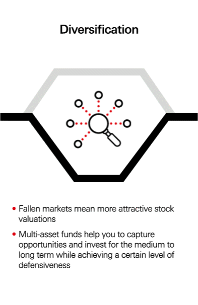 HSBC multi-asset funds
